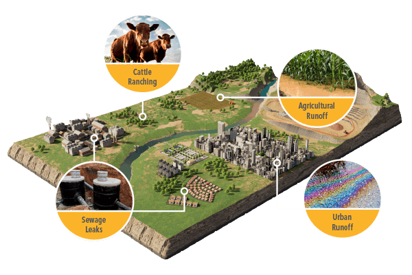 Understanding Point And Nonpoint Source Pollution